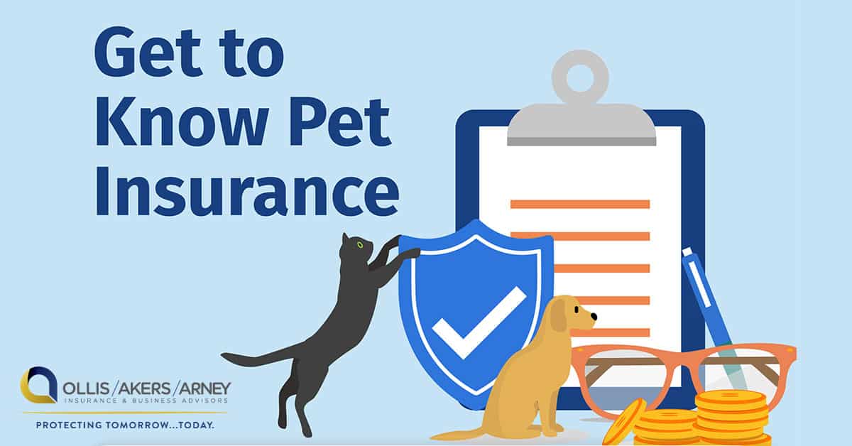 Get to Know Pet Insurance | Ollis/Akers/Arney Insurance & Business ...